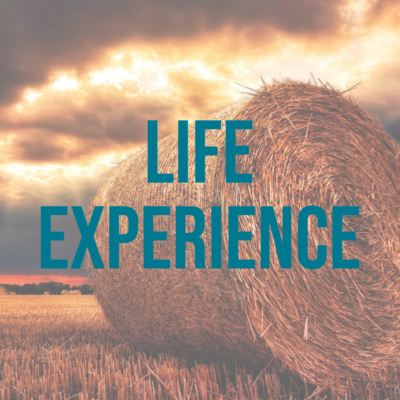 The Recovery Realm - sober coaching | life coaching